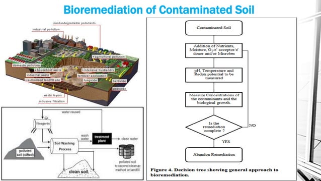 Bioremediation