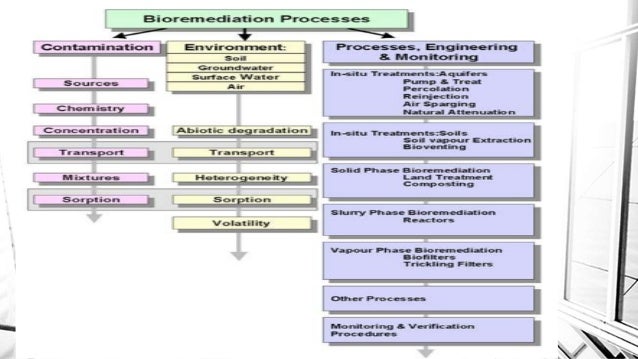 Bioremediation
