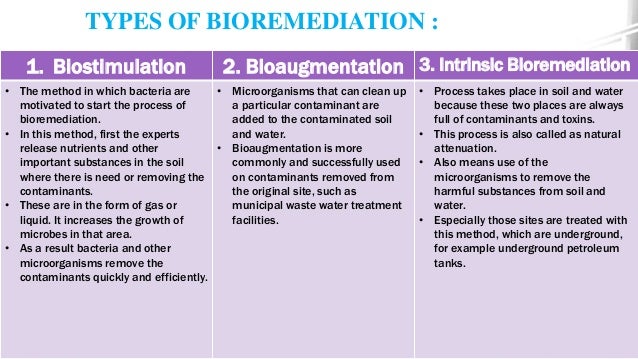 Bioremediation