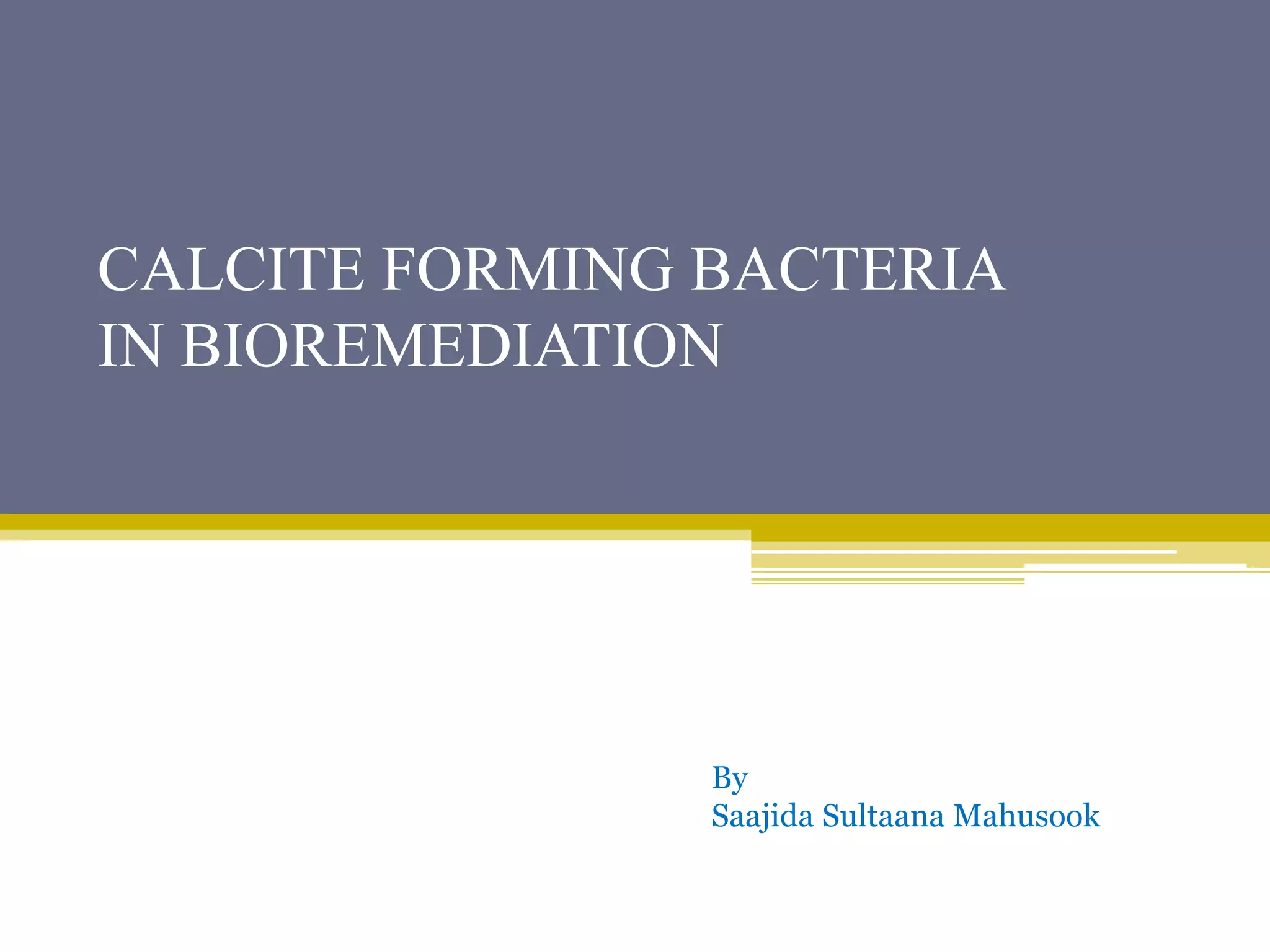 Calcite forming bacteria in bioremediation | PPT