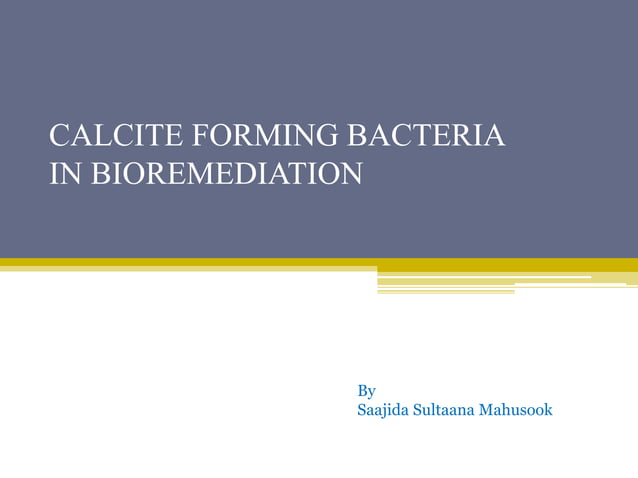 Calcite forming bacteria in bioremediation | PPT