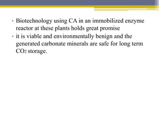 Calcite forming bacteria in bioremediation | PPT