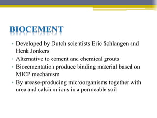 Calcite forming bacteria in bioremediation | PPT