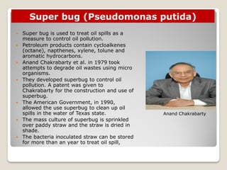 Bioremediation | PPT