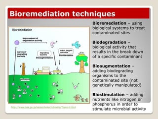 Bioremediation | PPT
