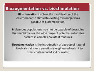 Bioremediation | PPT