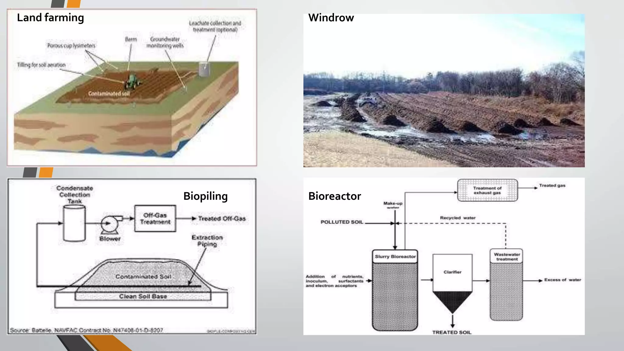 Bioremediation | PPTX