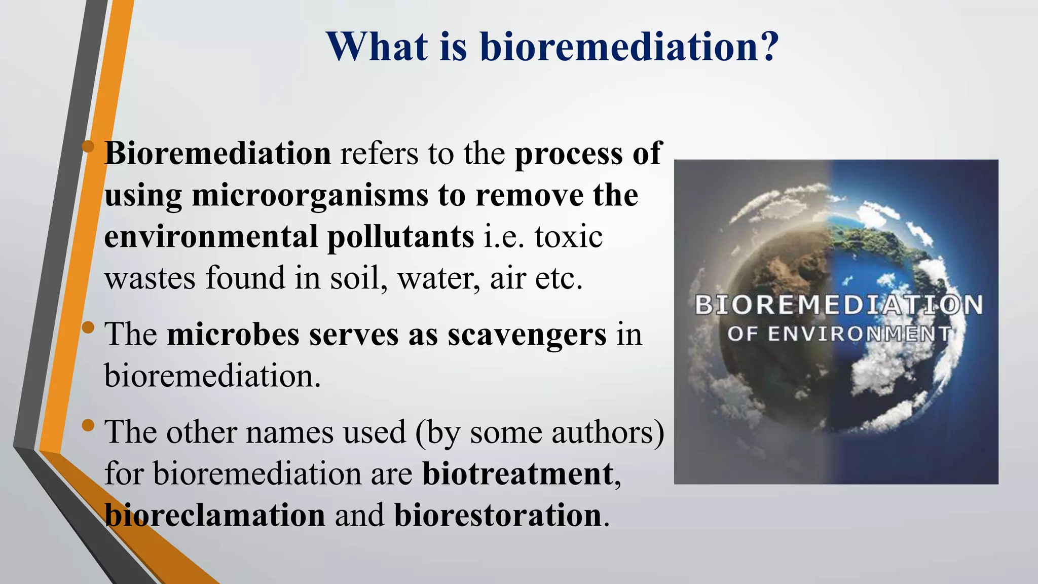 Bioremediation | PPTX | Indoor Environmental Quality | Home & Garden