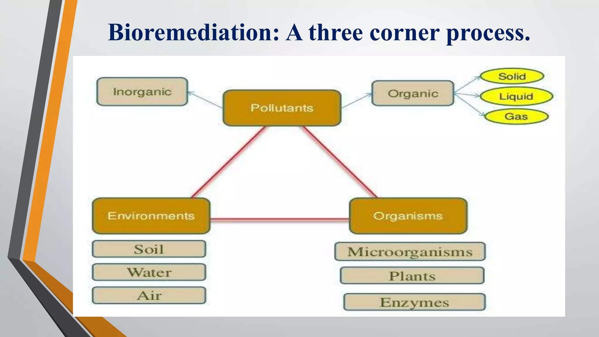 Bioremediation | PPTX | Indoor Environmental Quality | Home & Garden