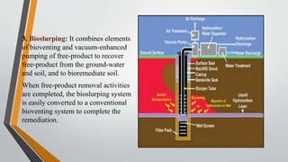 Bioremediation | PPTX