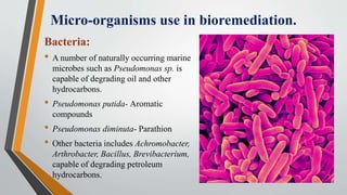 Bioremediation | PPTX | Indoor Environmental Quality | Home & Garden