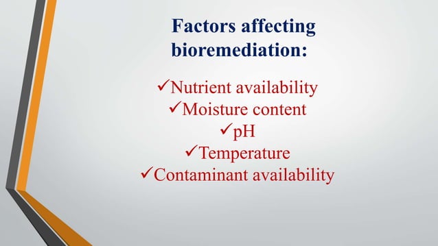 Bioremediation | PPTX | Indoor Environmental Quality | Home & Garden