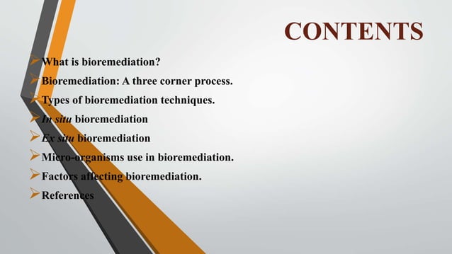 Bioremediation | PPTX | Indoor Environmental Quality | Home & Garden