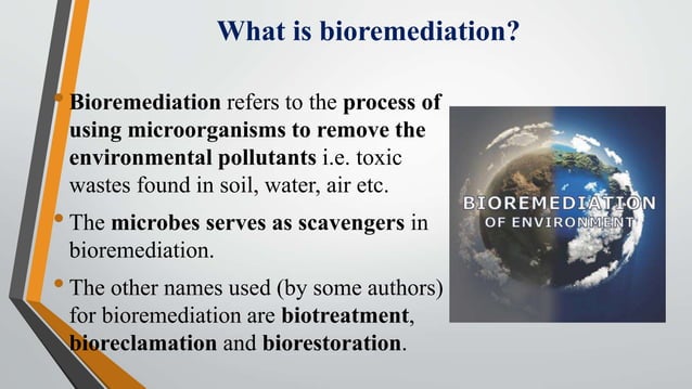 Bioremediation | PPTX | Indoor Environmental Quality | Home & Garden