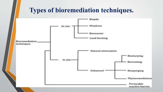 Bioremediation | PPTX | Indoor Environmental Quality | Home & Garden
