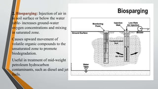 Bioremediation | PPTX