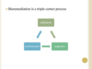 Bioremediation | PPTX