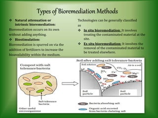 Biostimulation Bioremediation