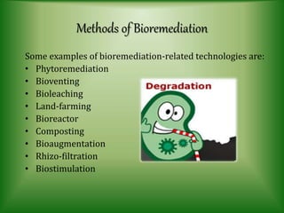 Bioremediation Examples