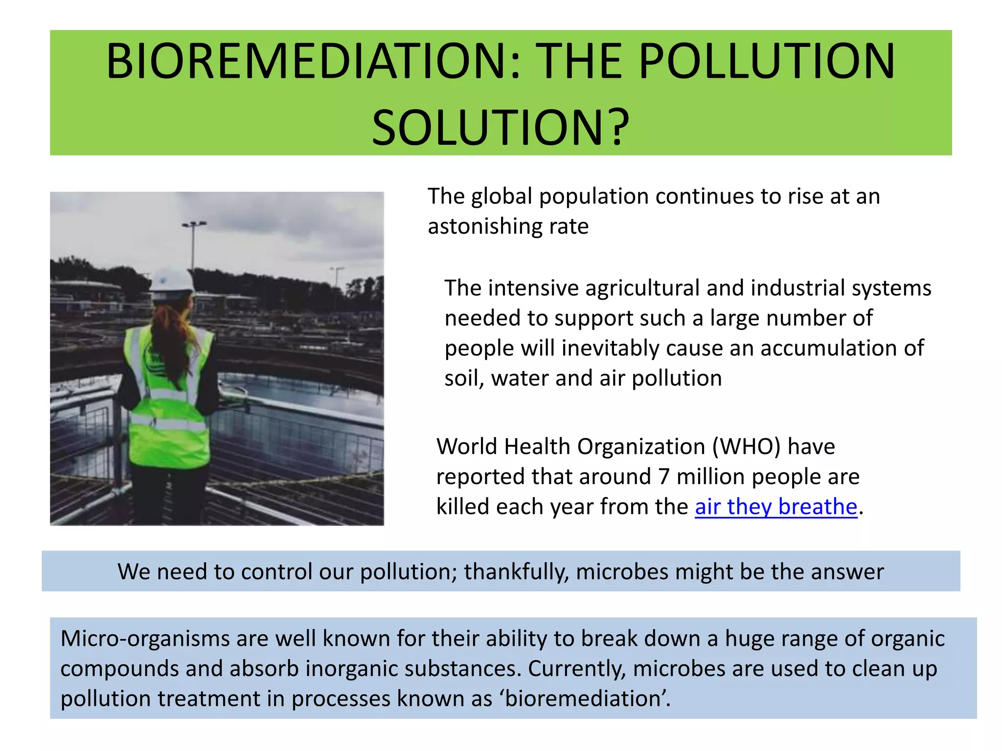 Bio remediation | PPT