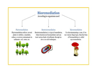 Bioremediation.pptx
