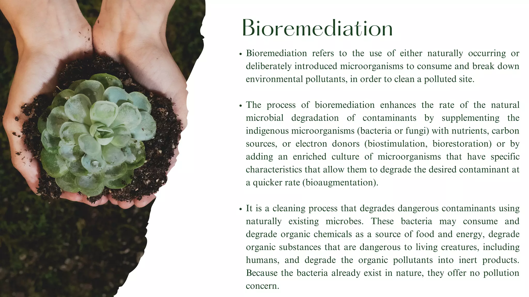 Bioremediation.pdf