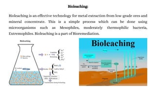 Bioremediation.pdf