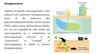 Bioremediation.pdf