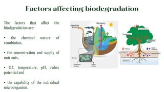 Bioremediation.pdf