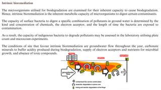 Bioremediation.pdf