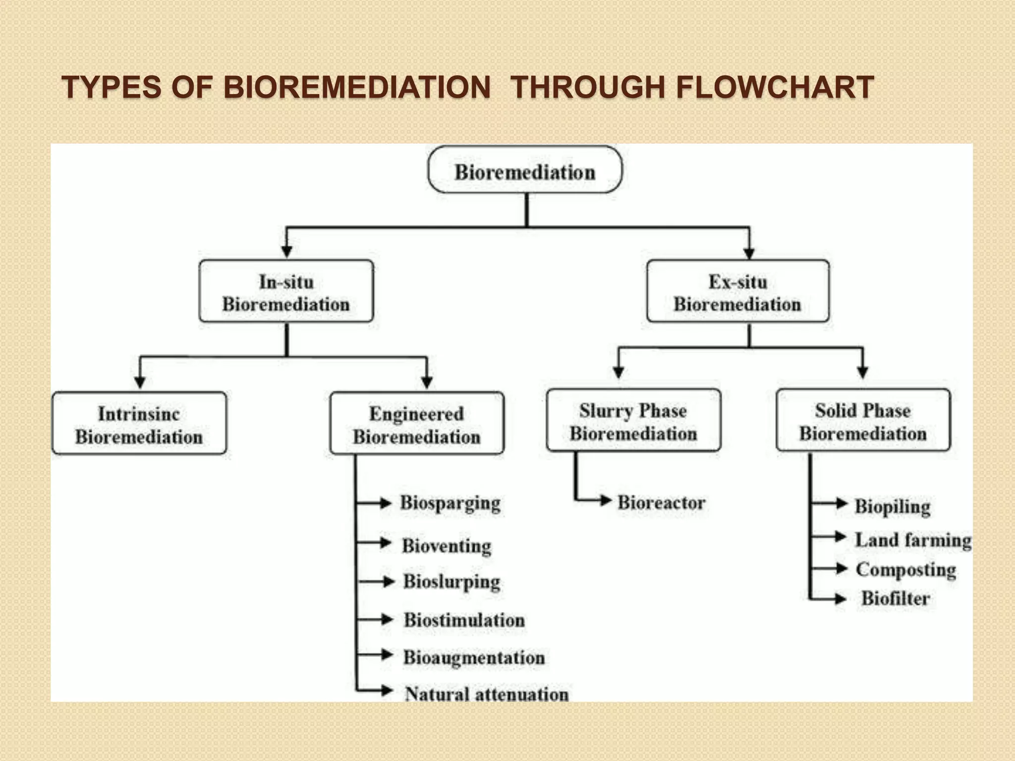 BIOREMEDIATION.pptx