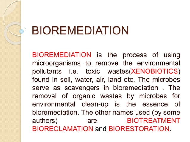 BIOREMEDIATION.pptx