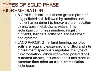 BIOREMEDIATION.pptx