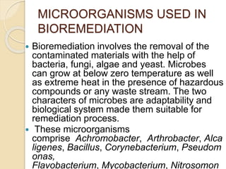 BIOREMEDIATION.pptx