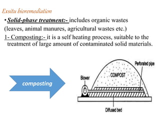 bioremediation.pptx