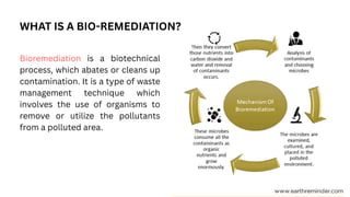 The different types of bio-remediation and its importance. | PDF