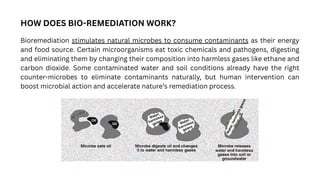 The different types of bio-remediation and its importance. | PPT