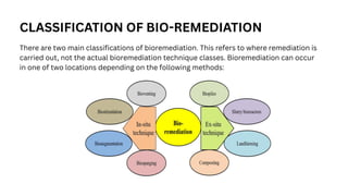 The different types of bio-remediation and its importance. | PPT