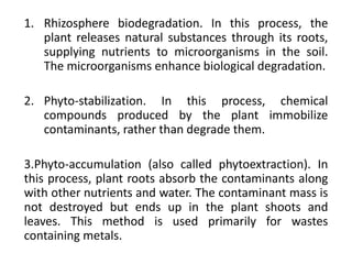 Bioremediation introduction | PPTX