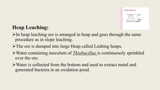 BIOREMEDIATION -MICROBIAL LEACHING OF ORES AND ITS PROCESS | PDF