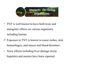 bioremediation-of-246-trinitro-toluene.pptx