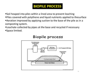 Bioremediation | PPTX