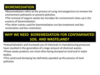 Bioremediation | PPT