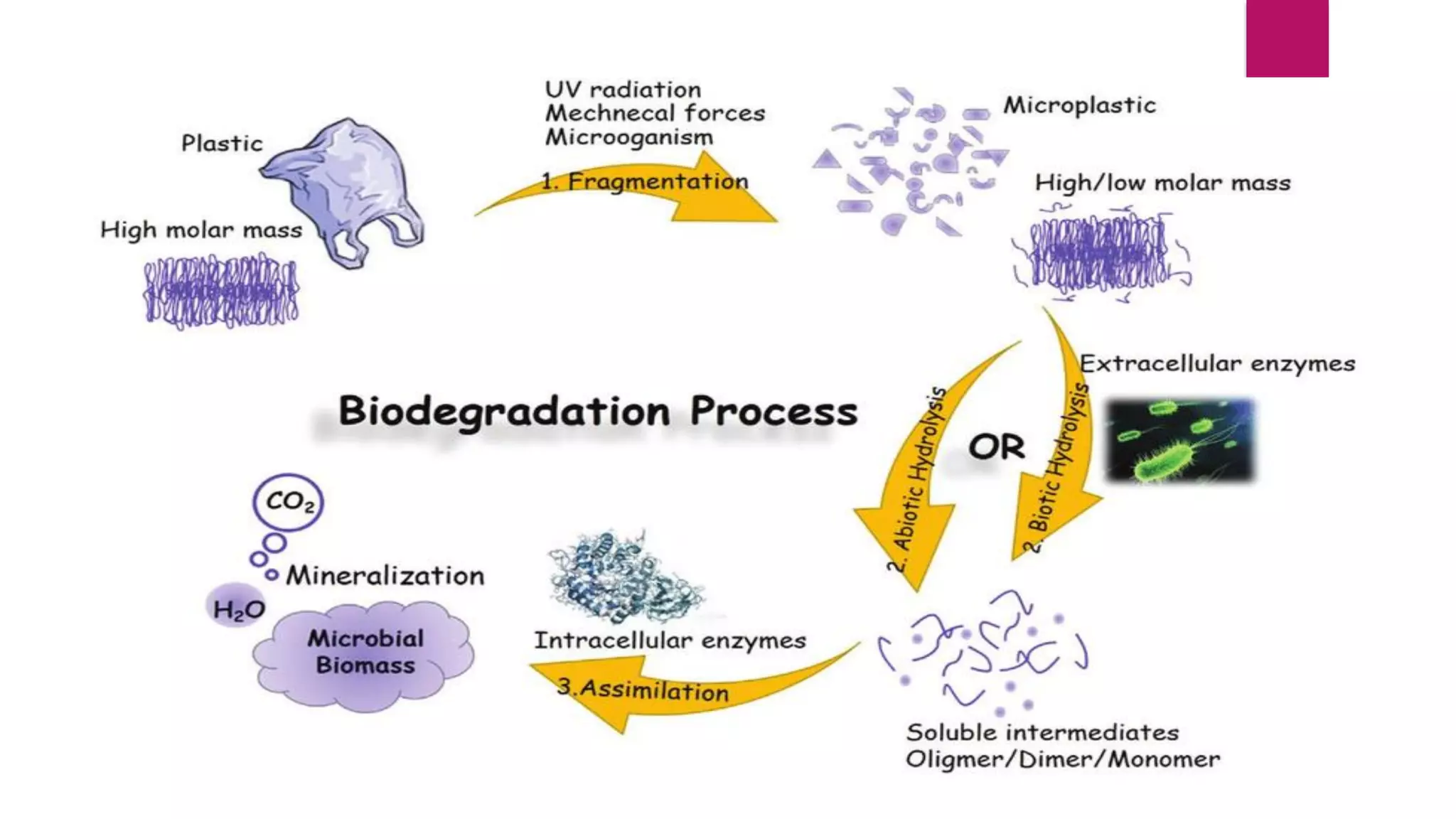 Bioremediation1.pdf