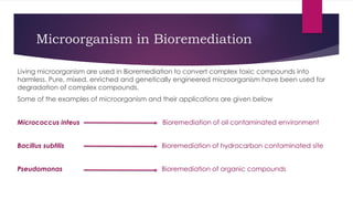 Bioremediation1.pdf
