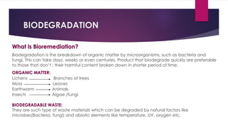 Bioremediation1.pdf