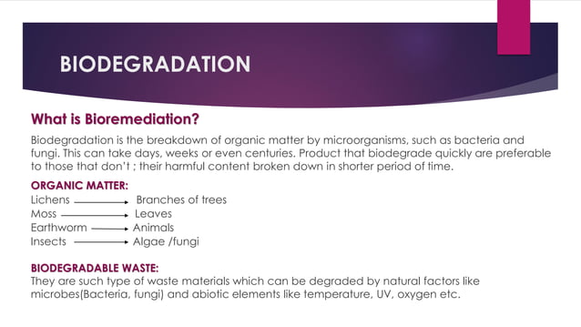 Bioremediation1.pdf