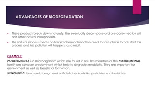 Bioremediation1.pdf