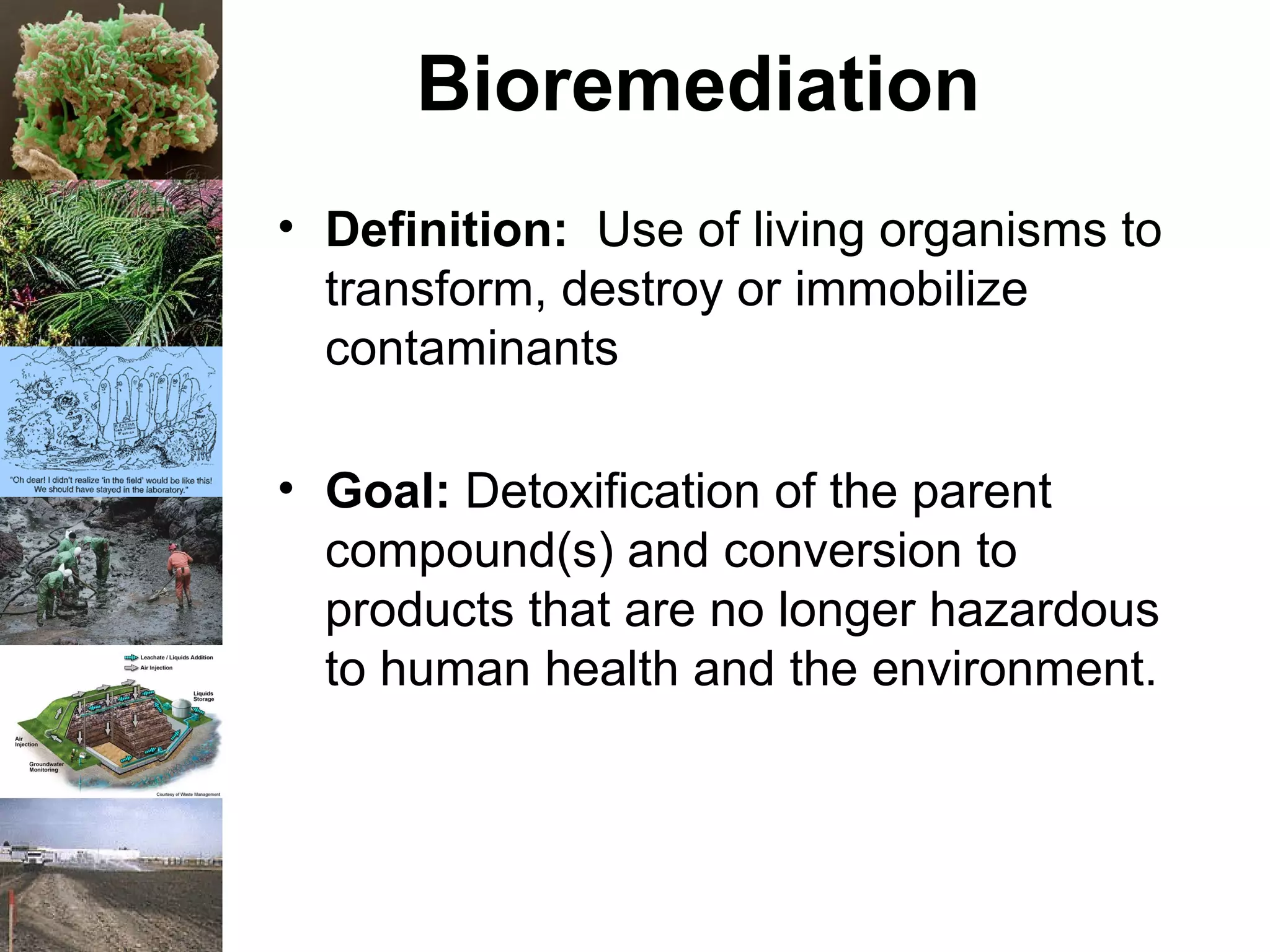 Bioremediation2 | PPT