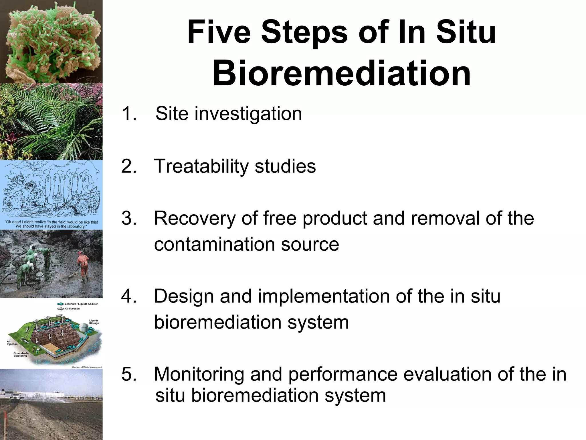 Bioremediation2 | PPT